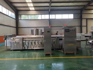 French Fries Manufacturing Process Step by Step