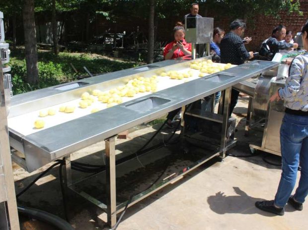 French Fries Manufacturing Process Step by Step